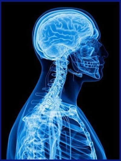 Las Vegas NUCCA Chiropractor | Spine Wellness Center